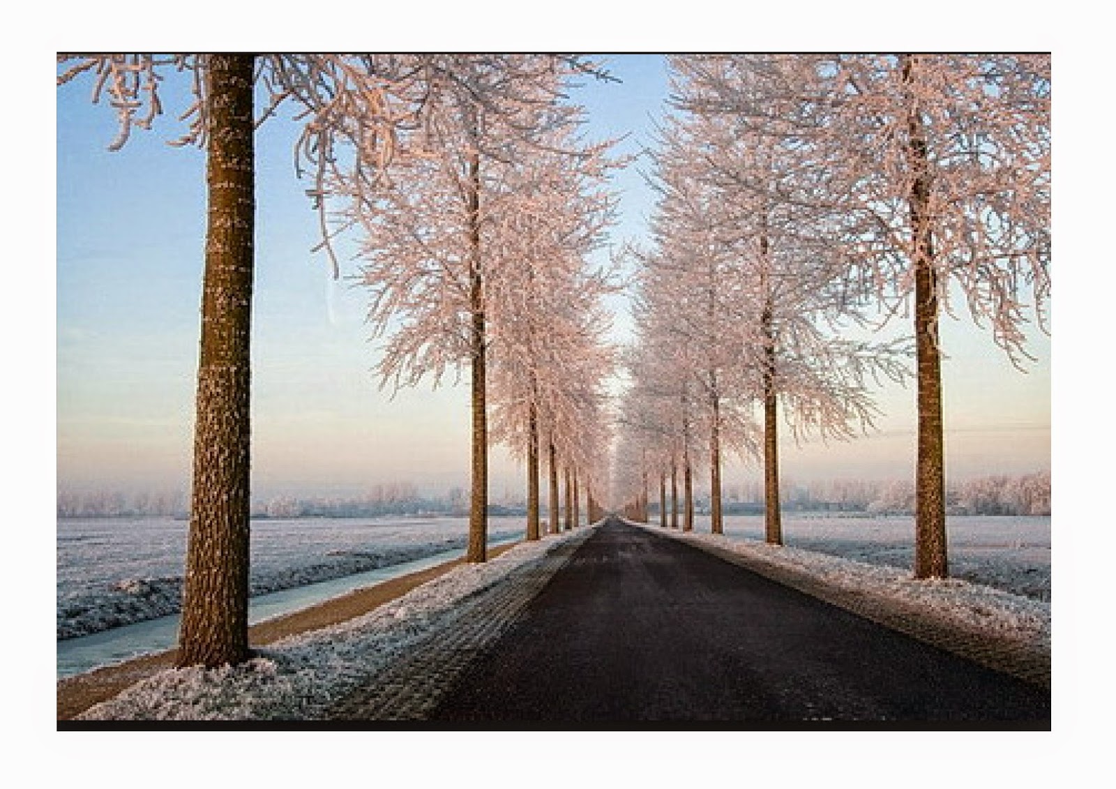 CoCo Beeldend 1: Lijnperspectief met 1 vluchtpunt tekenen en standpunten