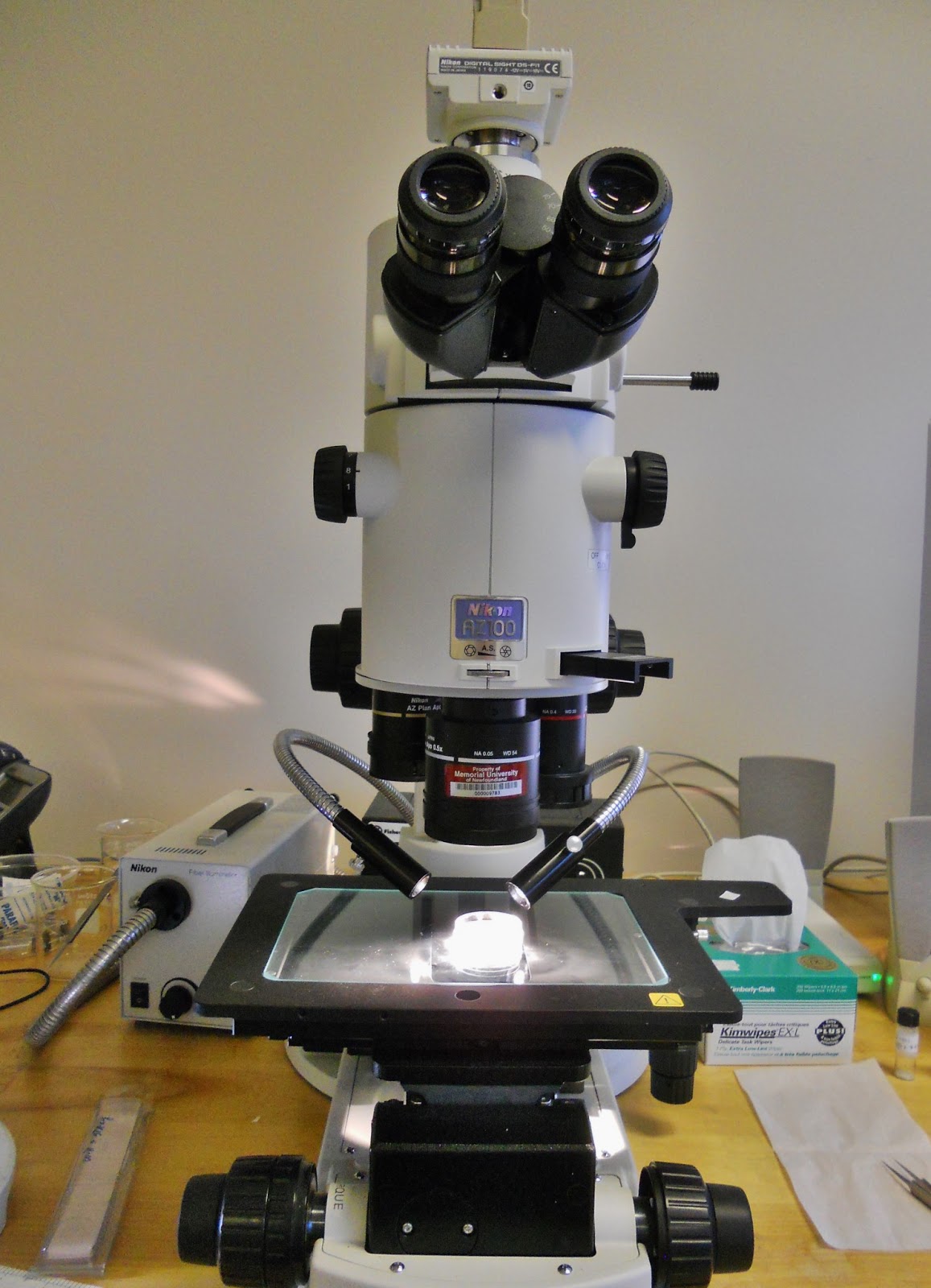 Tales of a Northern Geologist: June 2013