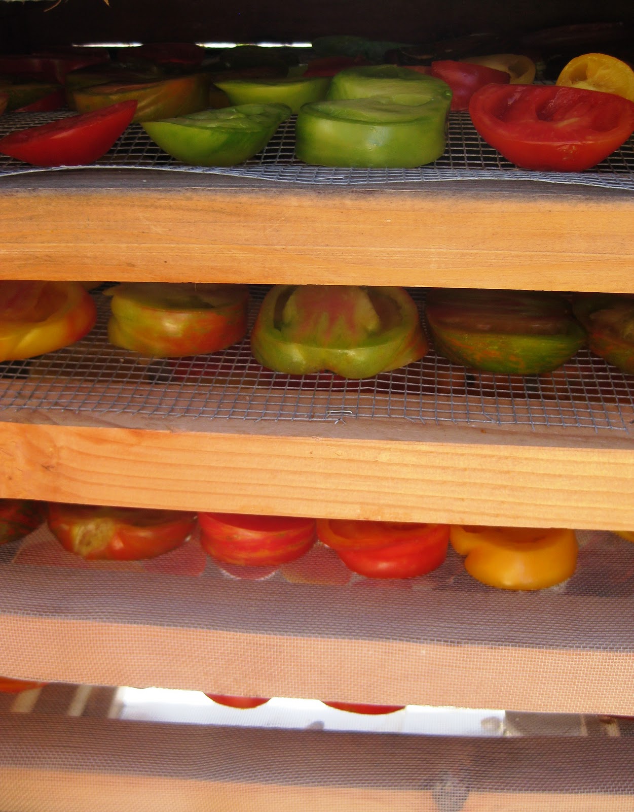 Interns of The Solar Living Institute: Solar Dehydrator