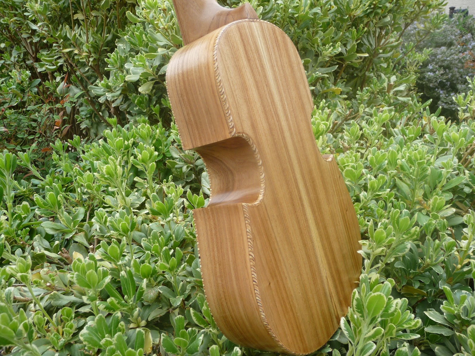 Ukulele Building: Getting started in building your own Ukulele