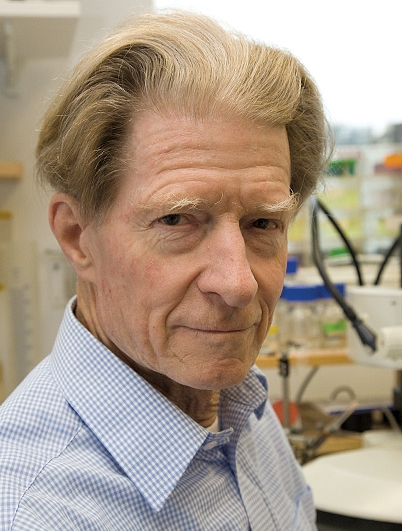 Portale Scientifico: aprile 2013