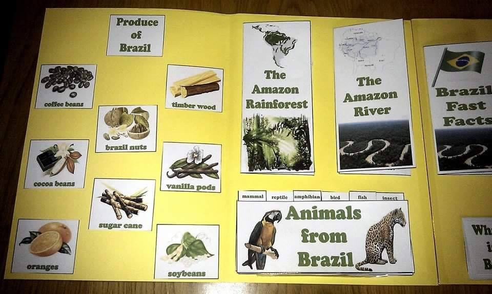 Iman's Home-School: Brazil Lapbook & Unit Study