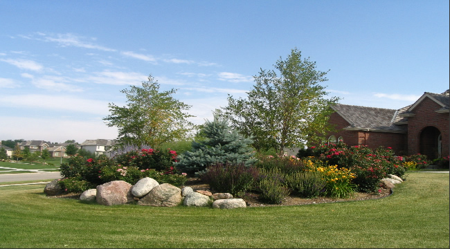 Productive Landscaping: LANDSCAPE