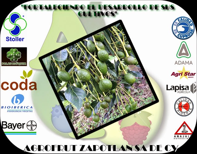 AGROFRUT ZAPOTLAN SA DE CV: 04/23/15