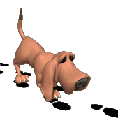 Davidsons Bloodhounds