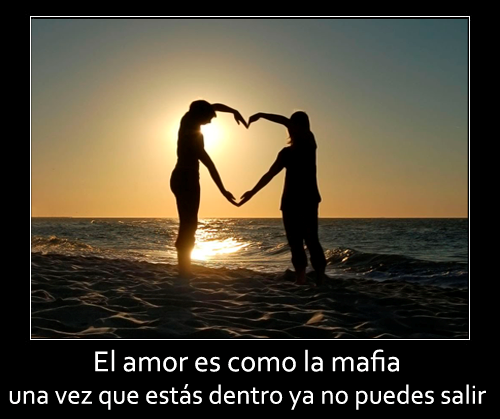 IMÁGENES CON FRASES LINDAS: El amor es...