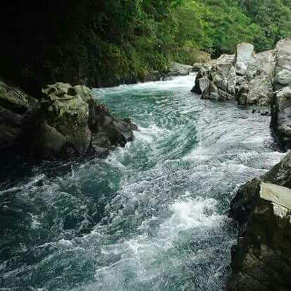 CHOCÓ BIODIVERSO ~ BiodiverChoc