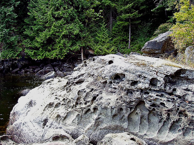 Everything Nanaimo: DODD NARROWS