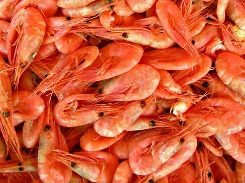 Receta de camarones a la diabla | Cocina