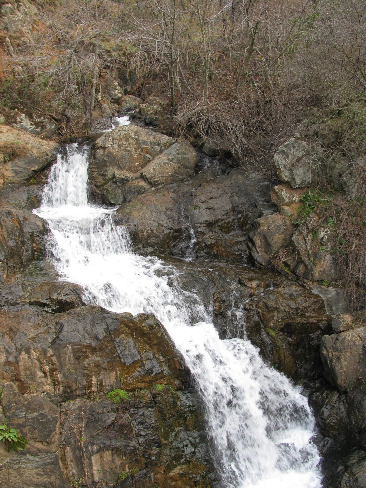 Weekend Wanderluster: Hidden Falls Inner Loop (Placer County, California)