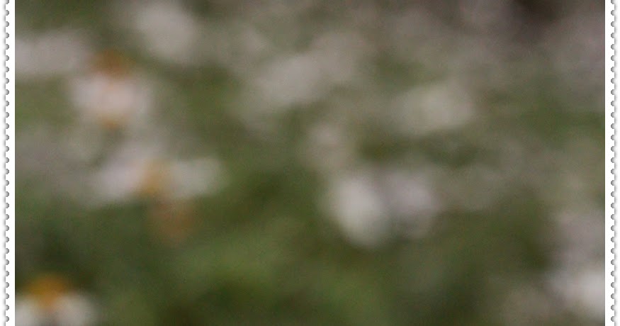 The Scriptures: Mark-05-29