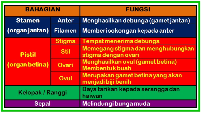 CikGu ReMy: [Quick Revision] F3 - Chapter 4