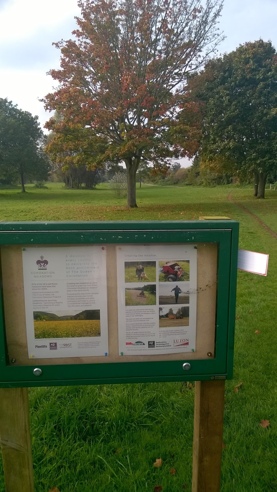 Tony McCool on Coaching, Football & Business : 2015