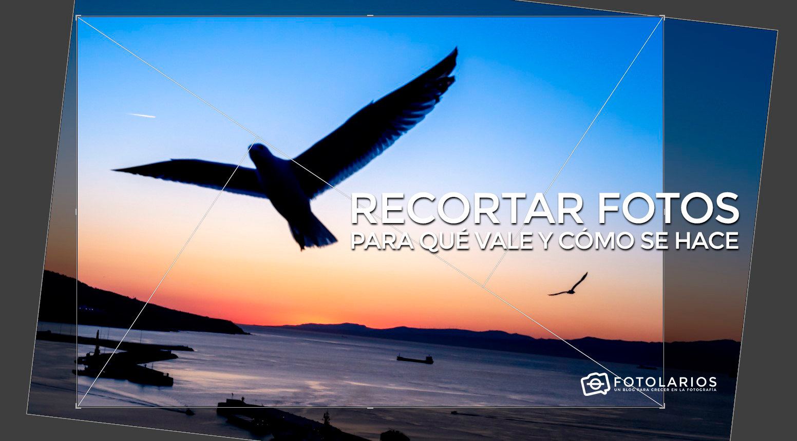 Recortar fotos - para qué vale y cómo se hace - Fotolarios