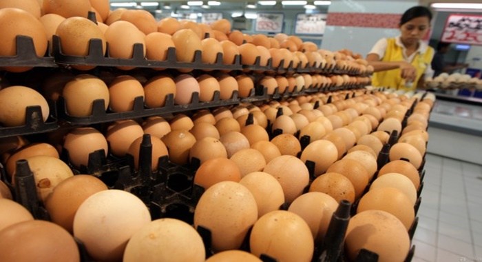 3 Cara Mudah Membedakan Telur Segar dan Telur Busuk - Majalah Viral