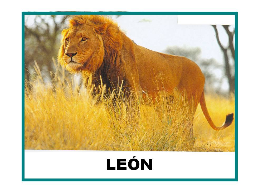 Menta Más Chocolate - RECURSOS y ACTIVIDADES PARA EDUCACIÓN INFANTIL ...