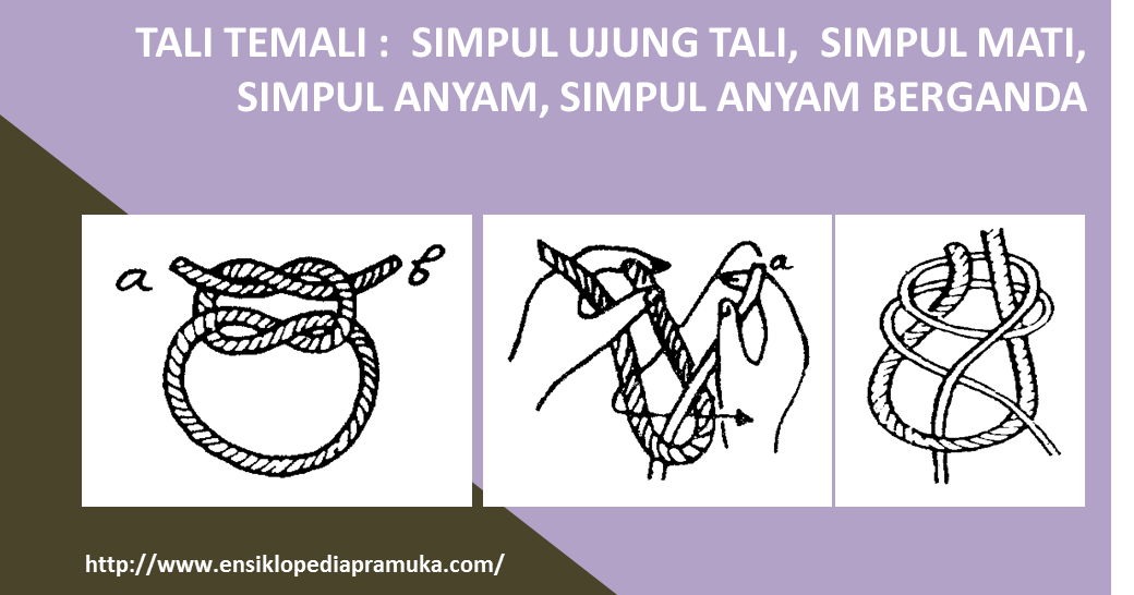 Tali - temali : Simpul ujung tali, simpul mati, simpul anyam, simpul ...