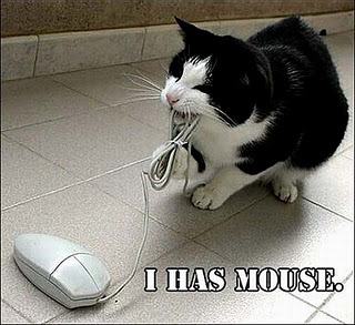 Funny Image Collection: Funny Computer Mouse pictures Collection!