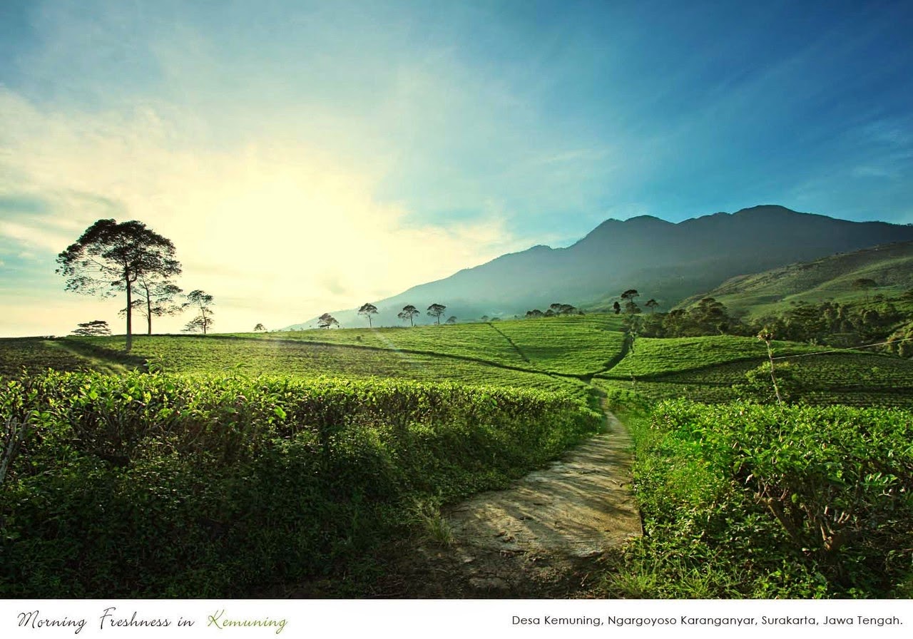 Jalur Pendakian Gunung Lawu. | kabut senja