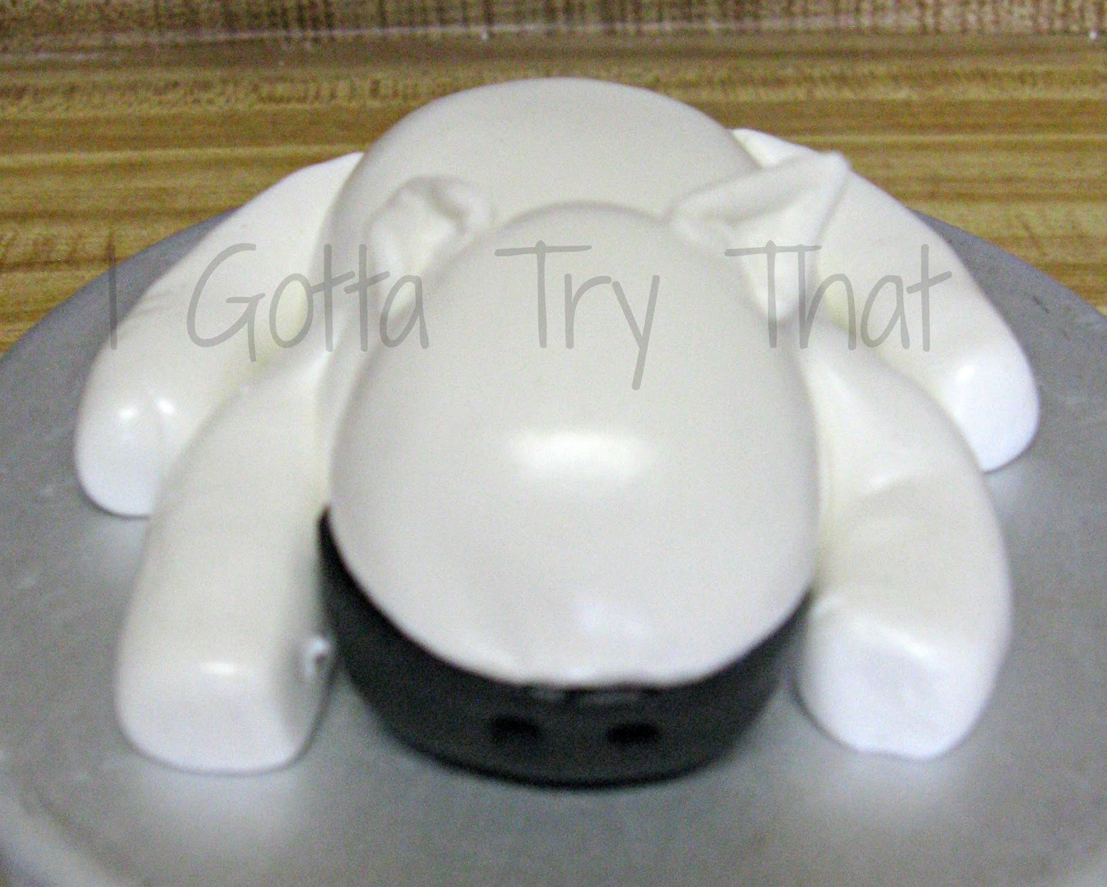 Zebra Cake Party and Tutorial | I Gotta Try That...