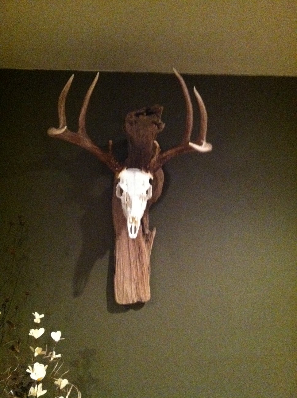 Bones n' Broadheads: European Mounts