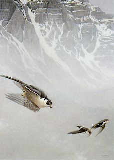 Art of the Woodland: Robert Bateman Limited Edition Prints for Sale ...