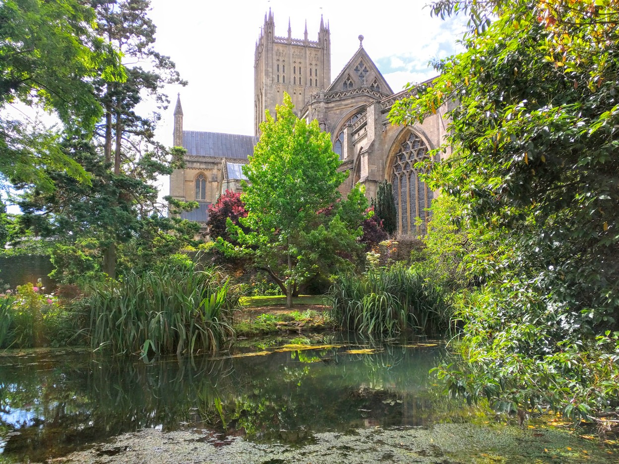 Wading Through Treacle: Wells Cathedral from the Bishop's Palace