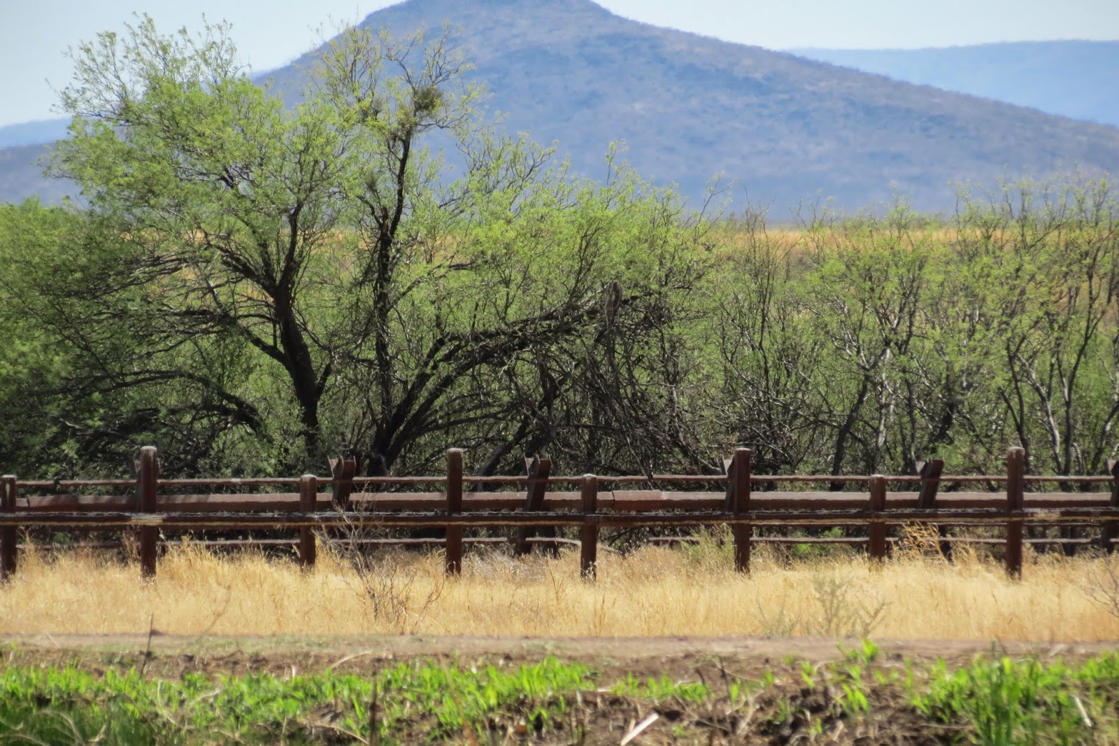 Where's Liz? 2014: Slaughter Ranch, San Bernadino and Leslie Canyon ...