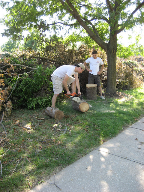DIY Tree Trunk Cupcake Stand | Alina Sewing + Design Co.