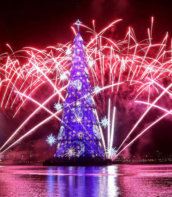 tallest Christmas tree