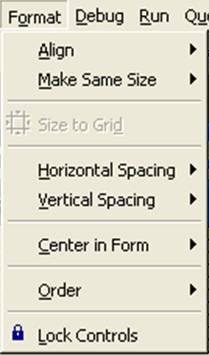Format Menu of Visual Basic 6.0