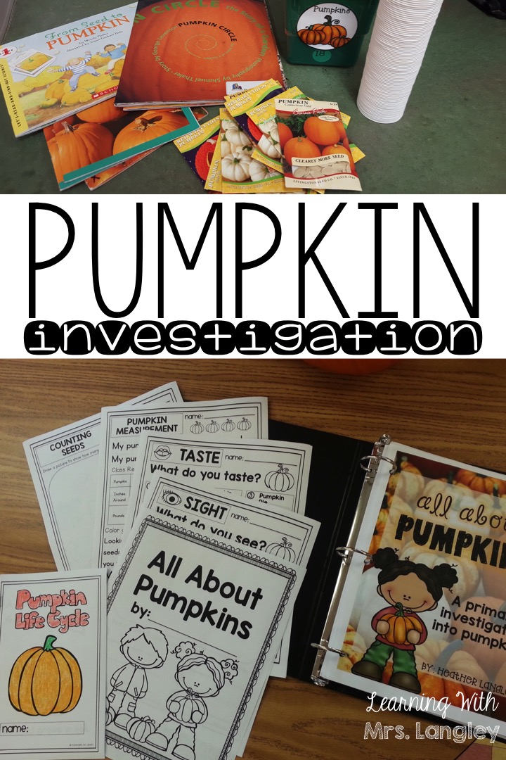 Pumpkin Investigations in Kindergarten | Learning with Mrs. Langley