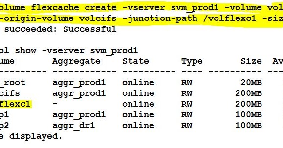 Remote Infrastructure Management: ONTAP 9.5 FlexCache
