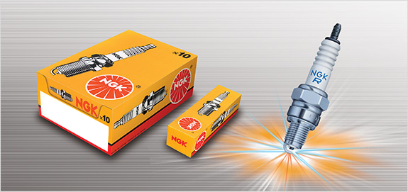 Ngk Spark Plugs (India)