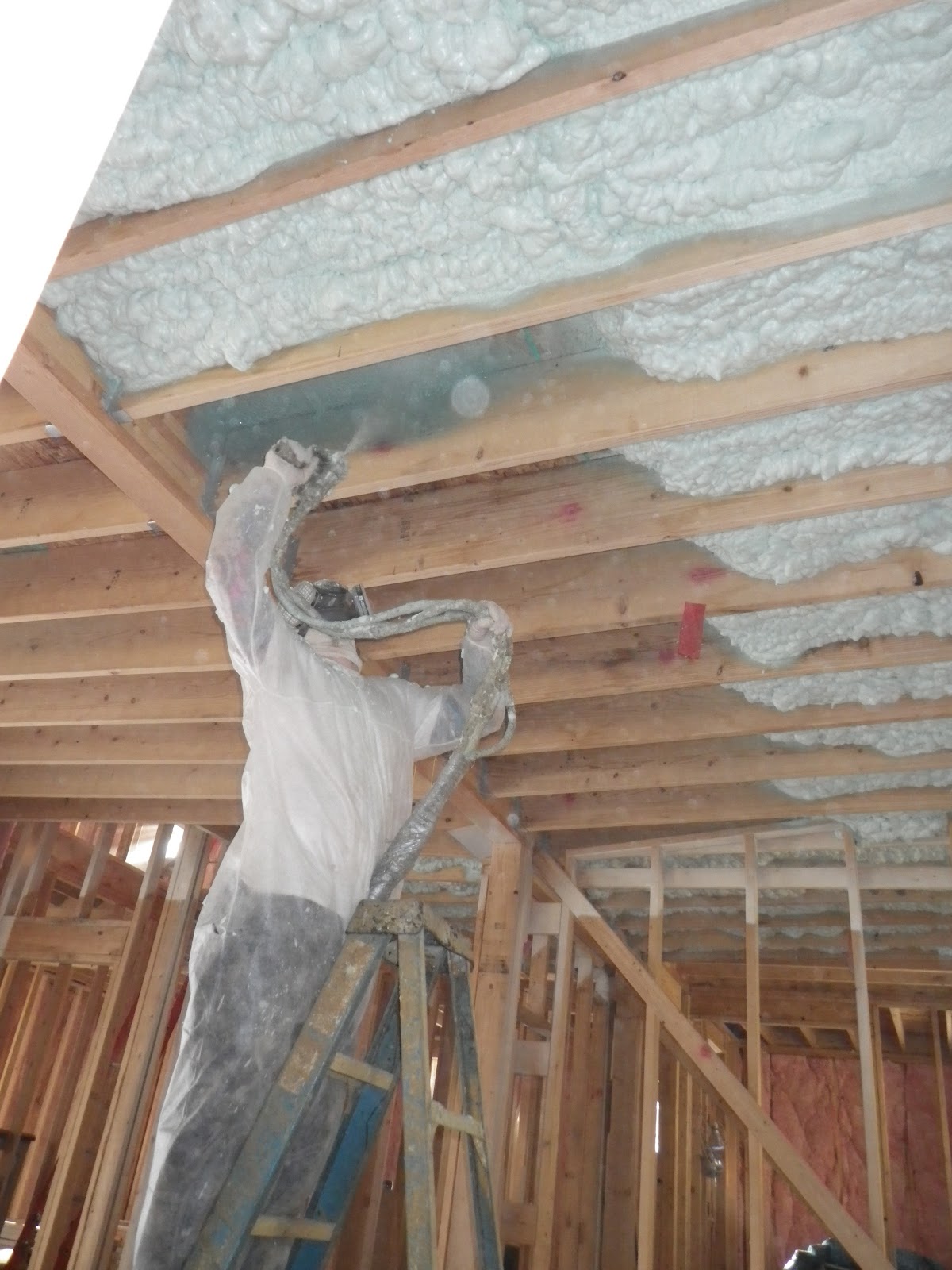 Mr. Blanding's Dream House: Super Insulation