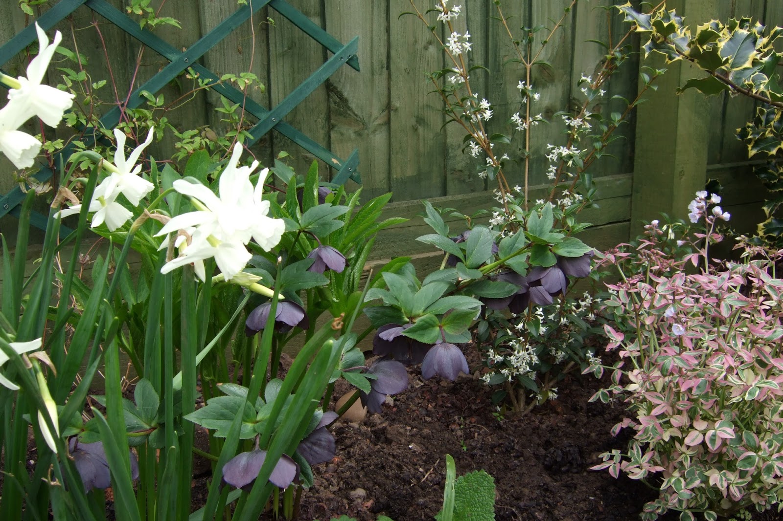 The Almond Rod - because God is watching over His Word to perform it ...