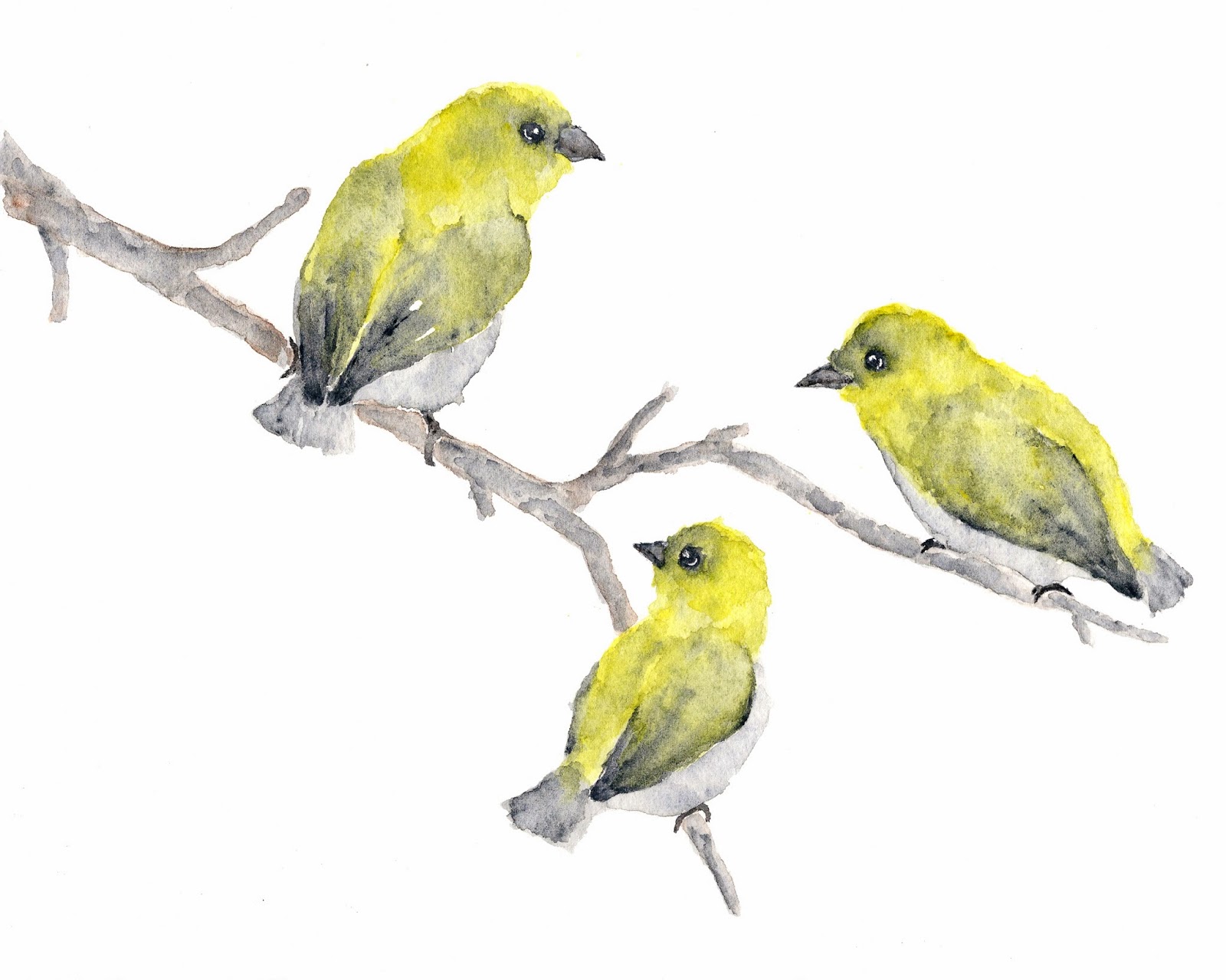 Thimble Sparrow: Watercolor bird art - yellow warblers bird painting