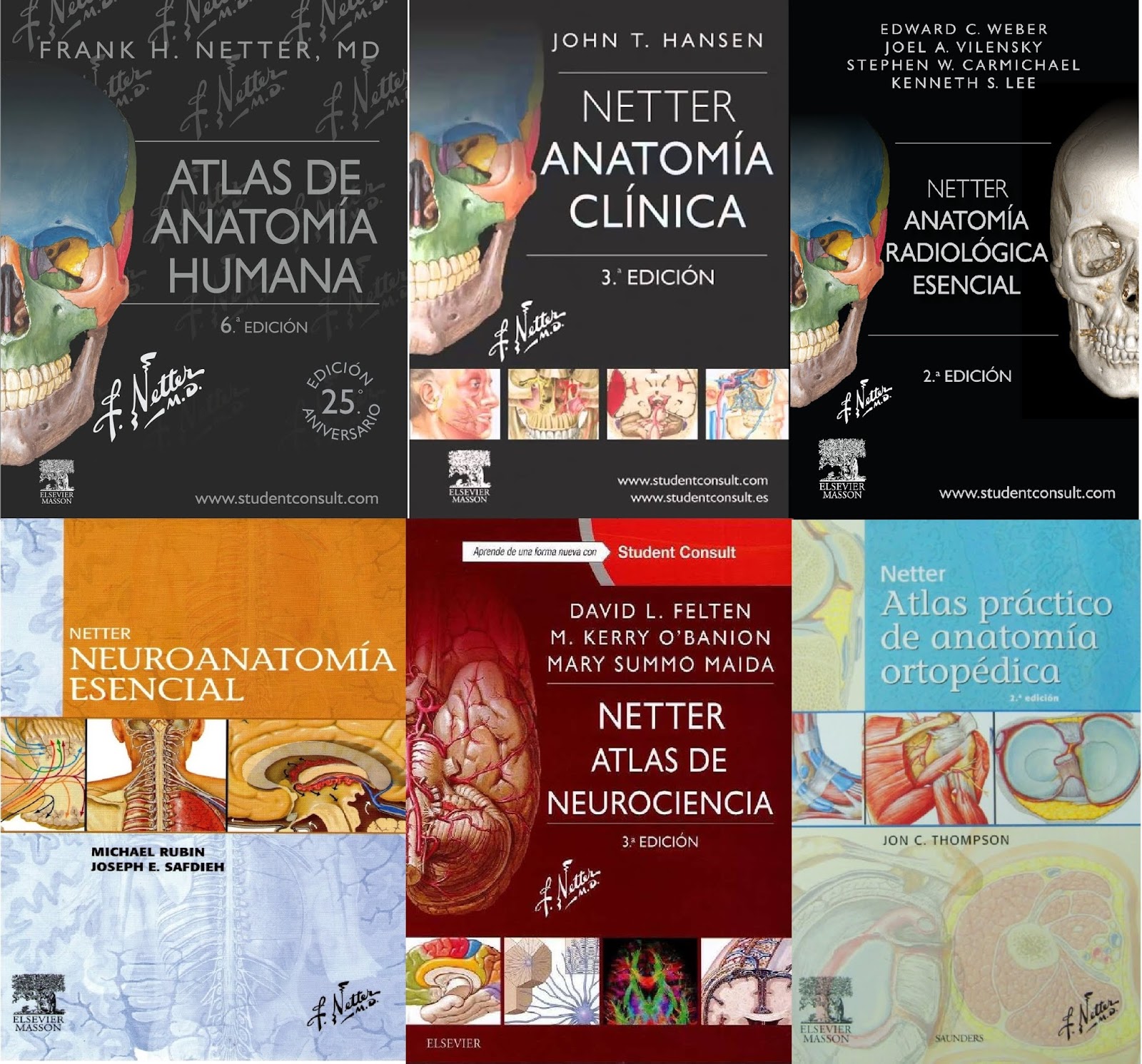Libros de Medicina y Neurociencias en general: Colección Netter