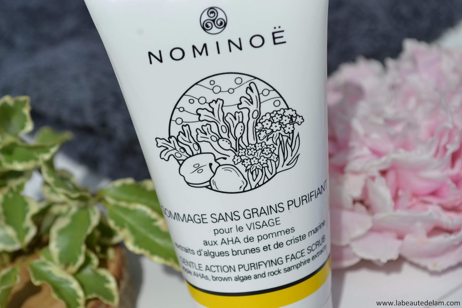 Que vaut le gommage sans grains purifiant pour le visage Nominoë