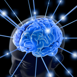 NEUROFISIOLOGÍA: ¿QUÉ ES LA NEUROFISIOLOGÍA?