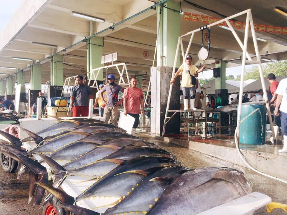 One morning at Gensan Fish Port - BITS OF JOYCE
