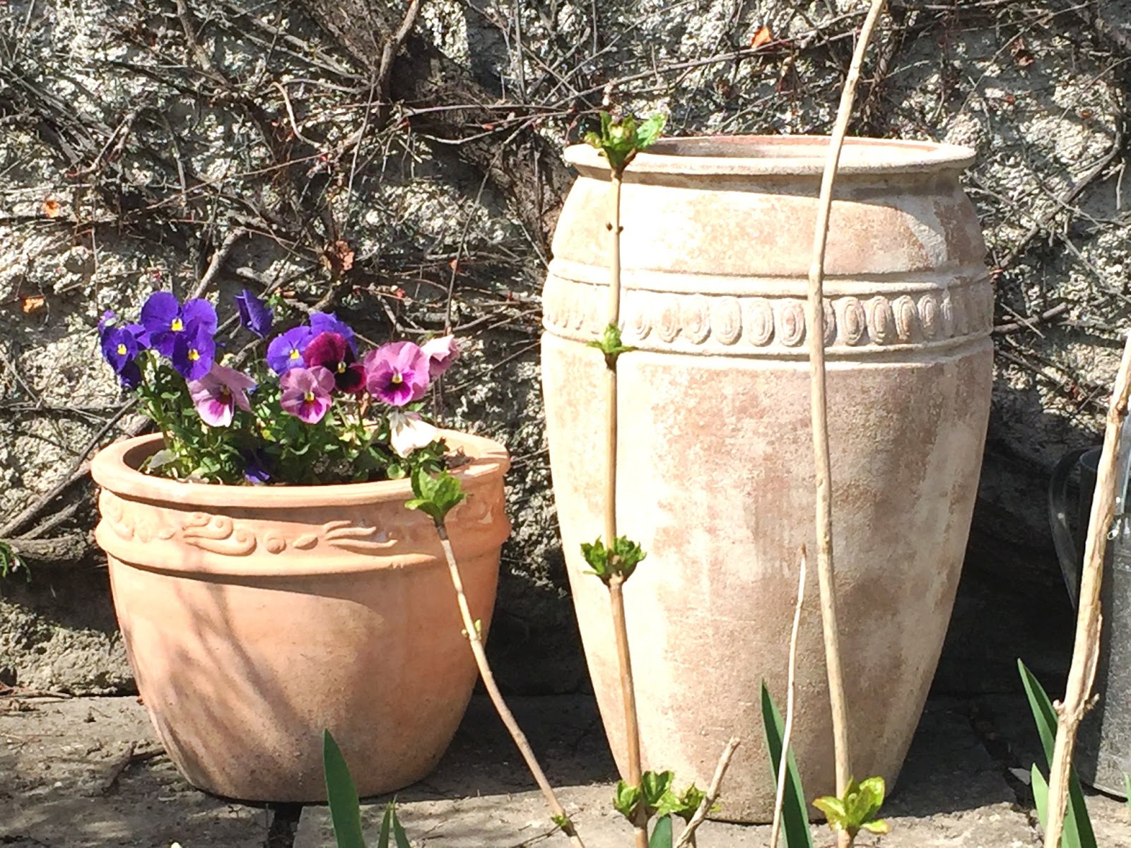 Time in the garden: O grădină de Paște