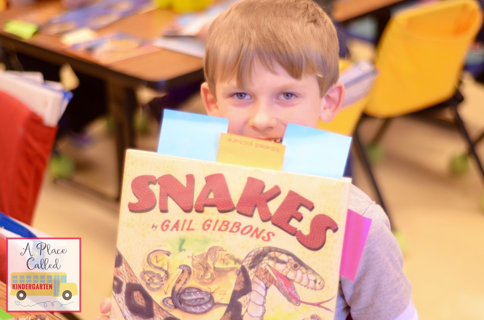 Already Ready | Adventures in Literacy Land