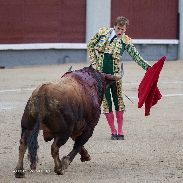 Toro, Torero y Afición: Ay Román Román!!!!!!!!