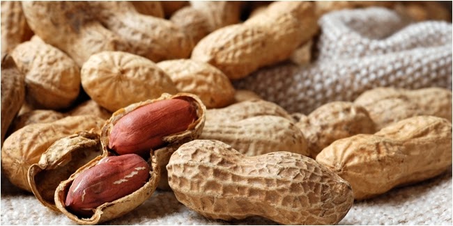 Facts About Nuts And the Human Age ~ Healthy Ways For Life