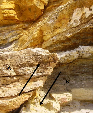 Os Z´s da Ciência: Falha da praia de Ribeira d'Ilhas: falha normal ou ...