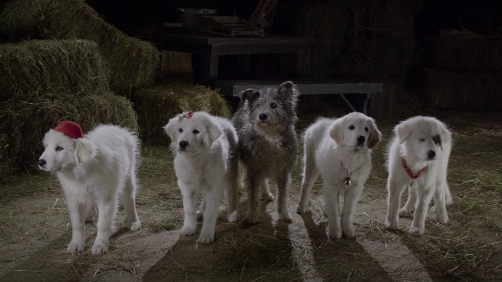 Elokuvahömppää: Santa Paws 2: The Santa Pups (Joulukoira 2 - suuri ...