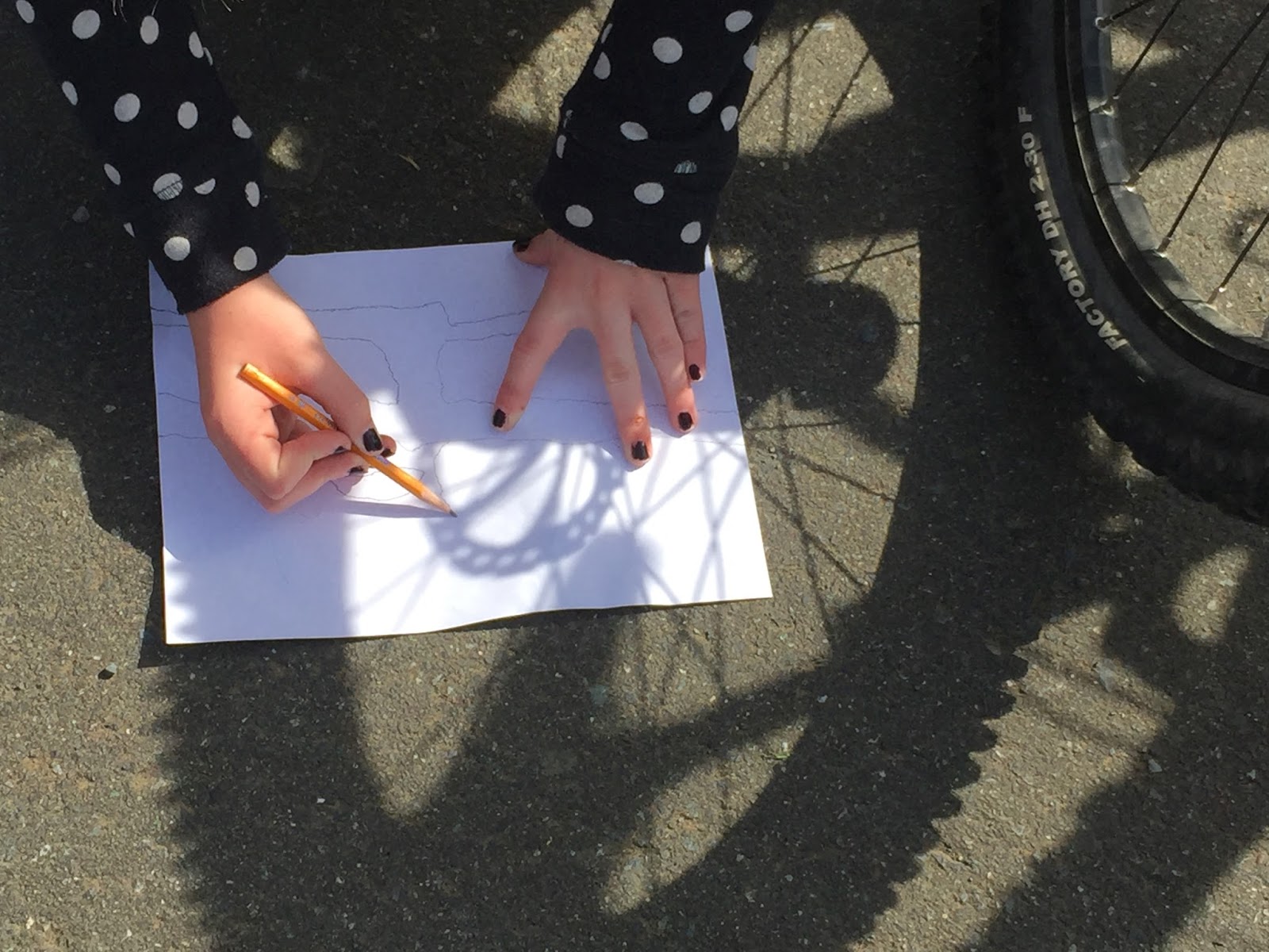 Middle School Shadow Art