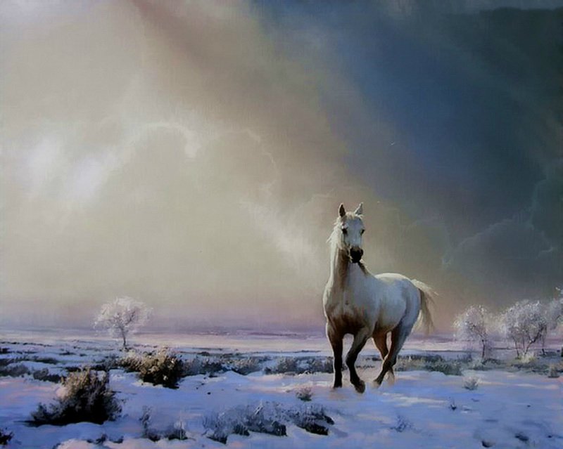 Por amor al arte: Alain Senez