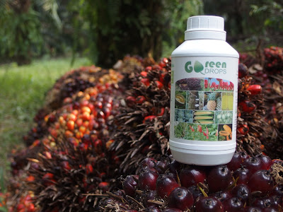 Menjual Baja Sawit Organik Paling Berkesan Di Sabah Sarawak ~ GREEN FOLIAR